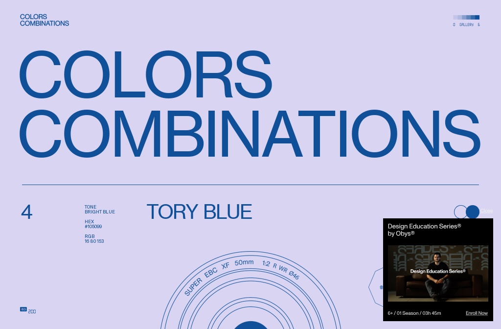 Colors Combinations — Tory Blue Combinations