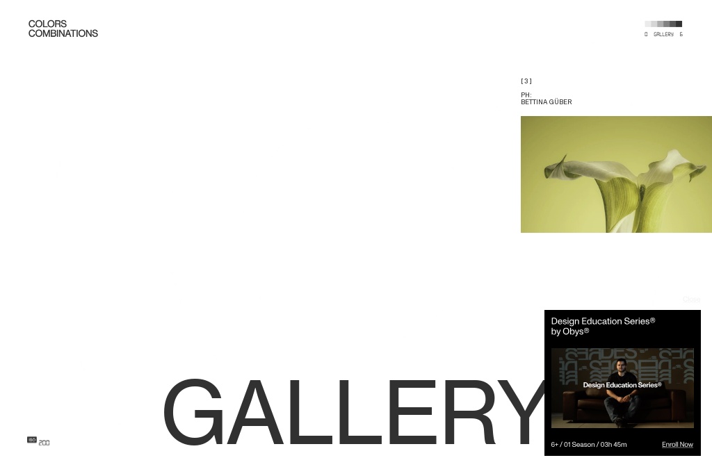 Colors Combinations — Limed Oak