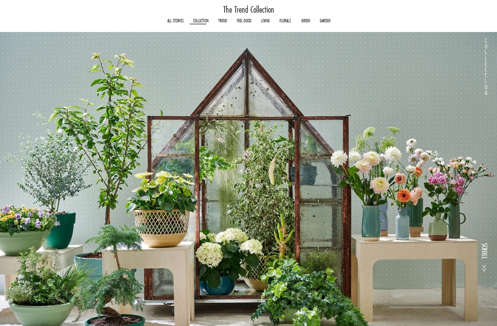 Collecting memories - Funnyhowflowersdothat — collection