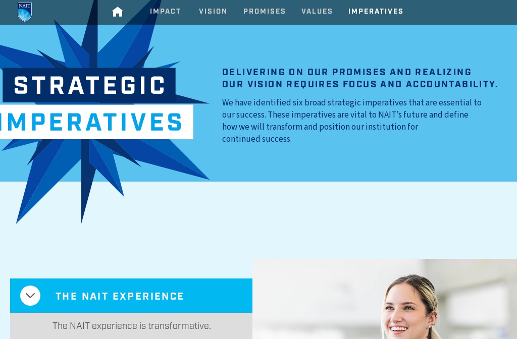 The NAIT Effect - Institutional Strategic Plan — Strategic Imperatives