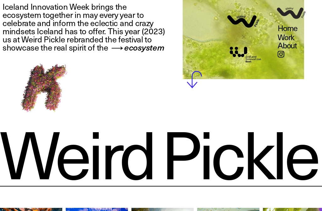 Weird Pickle — IIW