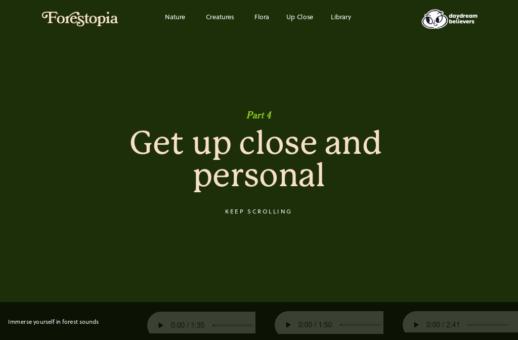 Forestopia Online Forest Experience — Up Close