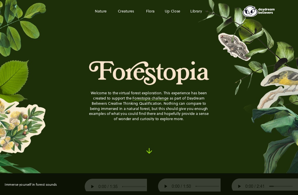 Forestopia Online Forest Experience