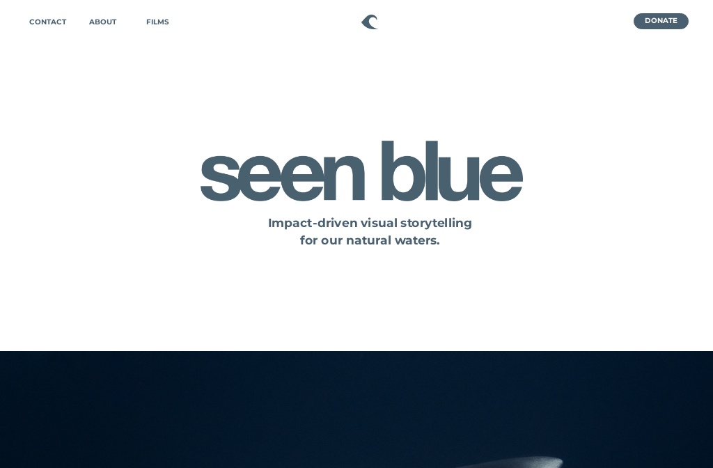 seen blue